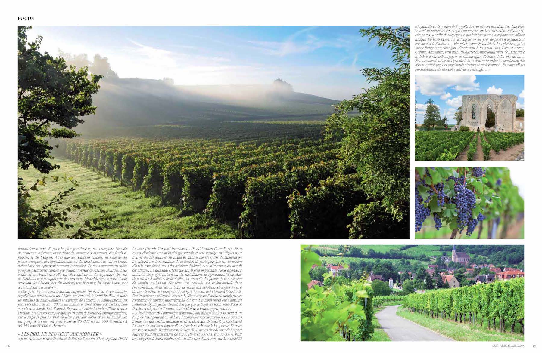 Le vignoble français continue de séduire les acheteurs | Wine Invest ...